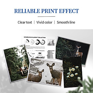 Ink Cartridges Replacement for Canon PG-245XL CL-246XL PG-243 CL-244 for Canon Pixma MX492 MX490 MG3022 MG2920 MG2522 TR4520 TS3122 TS202 MG2420 MG2520 MG2922 IP2820 Printer Ink (1 Black,1 Tri-Color)