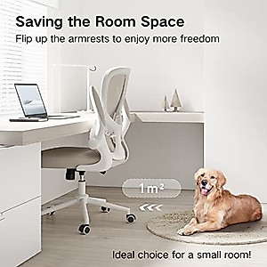 Hbada Ergonomic Office Chair with Up&Down Adjustable Lumbar Support and Flip Up Arm, Swivel Computer Desk Chair with Adjustable Height, Breathable Mesh Office Chair with PU Wheels, Gray