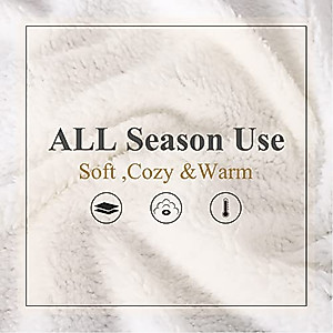 Dropshipful Bookshelf Cat Throw Blanket 50"x60" Plush Fluffy Sherpa Fleece Blanket Soft Throws for Sofa, Couch and Bed