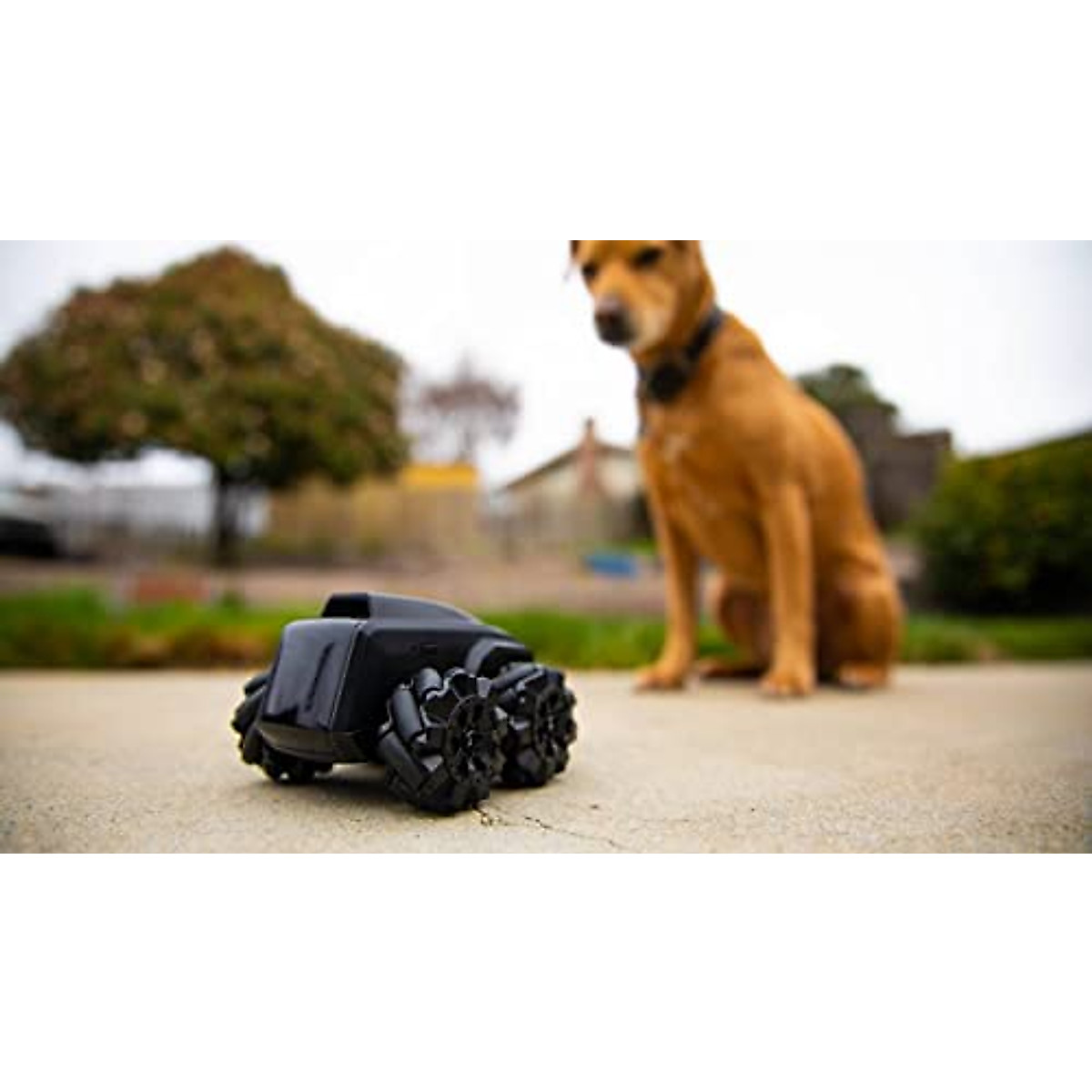 Moorebot Scout - Versatile Tiny AI Camera Robot, Pets/Elderly Watching/Security/Smart Home/Crawlspace Inspection, 1080P, Auto Patrol, Nightvision, Track Option, Indoor (2023)