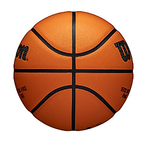 Wilson Basketball EVO NXT Africa League, Blended Leather, Indoor-Basketball, Orange