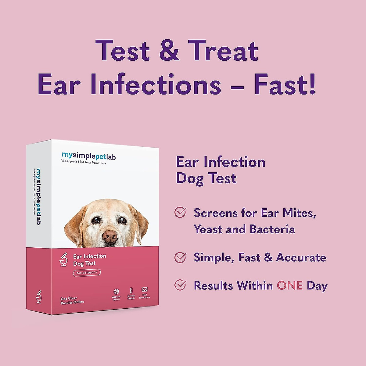 MySimplePetLab Dogs Ear Infection Test Kit | Fast and Accurate Detection of Yeast and Other Ear Irritations| Reliable Mail-in Dog Ear Care Test for Smelly, Itchy, or Sore Ears
