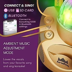 KaraoKing New 2020 Karaoke Machine – for Adults and Kids –2 Wireless Karaoke Microphone, SD Card, USB, Bluetooth Compatible, Lights Function– Home, Bachelor Party, Picnic, Outdoor/Indoor [G308 Gold]