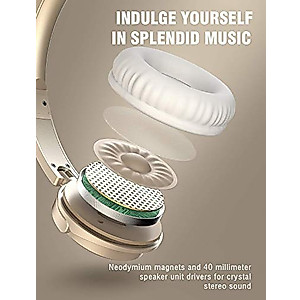 Nasuque Wired Headphones with Microphone, Portable Foldable Headsets with Stereo Bass, Noise Isolating and Adjustable Headband for Home Office Travel (Gold)