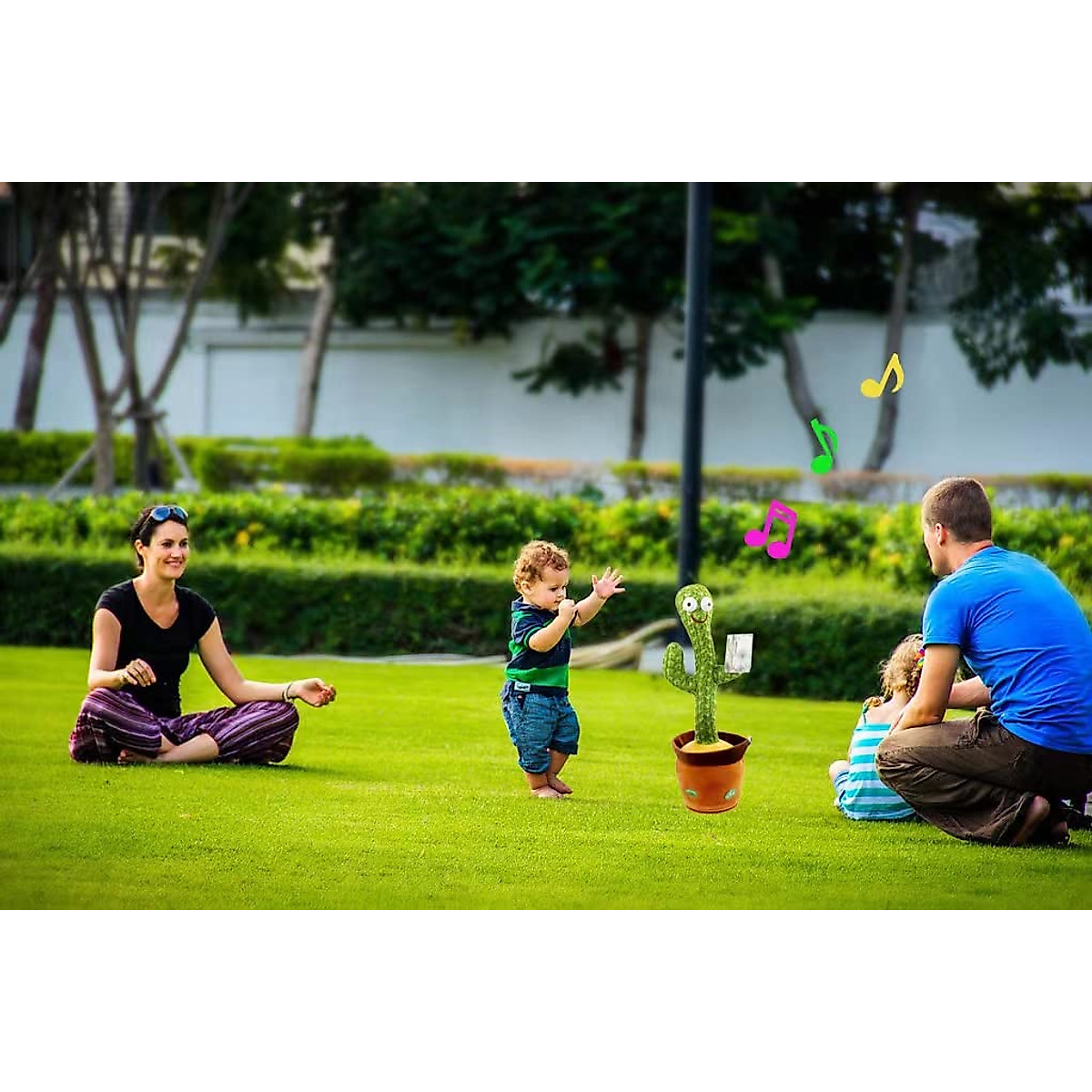 Ferlert Dancing Cactus,Talking Cactus Toy, Electronic Dancing Cactus Toy with Lighting,Singing Cactus Recording and Repeat Your Words,Cactus Mimicking Toy Green A