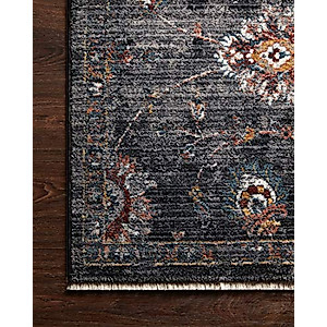 Loloi II Samra Collection SAM-08 Charcoal/Multi, Transitional 7'-10" x 10' Area Rug