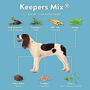 Dorwest Keepers Mix (Pot Size: 500G)