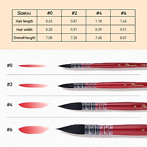 Lightwish Watercolor Brushes Set, Synthetic Squirrel Hair Paint Brushes kit for Artists, Adults, and Hobbists, Pointed Round Mop Brush for Watercolor, Gouache,4 Pcs