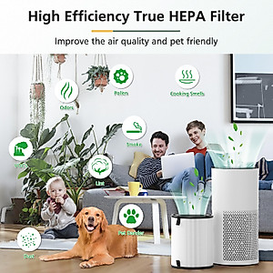 LV-H133 Replacement Filter Compatible with LEVOIT LV-H133 Air Purifier, 3-in-1 H13 True HEPA Filter, Part No. LV-H133-RF, 1 Pack