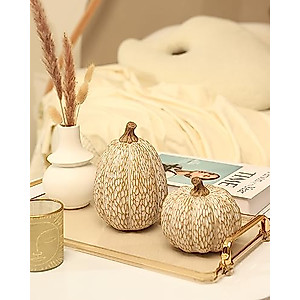 DN DECONATION Thanksgiving Resin Pumpkin Statue, Brown and White Pumpkin Figurine, Faux Decorative Pumpkins for Table Centerpiece, Countryside Autumn Fall, Set of 2, Gift