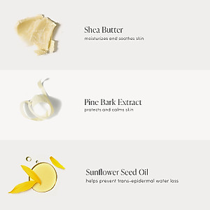 Jane Iredale PureBronze Shimmer Bronzer Refill Bronzing Powder with Buildable Coverage Lightweight & Breathable Cruelty-Free 4 Blendable Shades