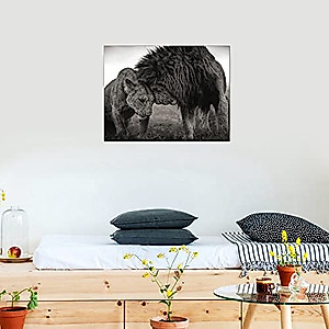 Black and White Lion and Lioness Poster Print Bedroom Living Room Wall Art African Couple Animal Artwork Framed Canvas Painting Print for Office Home Decor Ready to Hang 16x24inch