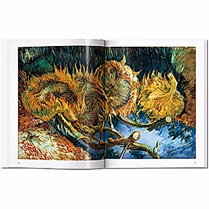 Vincent van Gogh: 1853-1890, Vision and Reality