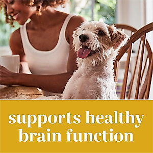 EverRoot Dog Supplements Powered by Purina Brain Health Chewable Tablets with Coconut Oil - 4.02 oz. Canister