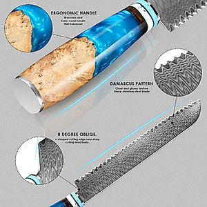 Bread Knife, Damascus Multifunction Serrated Knife, Professional Japanese VG10 Damascus Steel Bread Knife,Serrated Cake Knife Bread Cutter for Homemade Crusty Bread