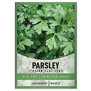 Parsley Seeds for Planting, Italian Flat Leaf is A Heirloom, Open-Pollinated, Non-GMO Herb Variety- Great for Indoor and Outdoor Gardening and Herbal Tea Gardens by Gardeners Basics