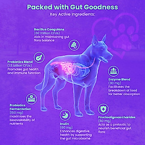 FREYDELL Pets Probiotics for Dogs Dog Upset Stomach Relief Dog probiotic, Fiber Supplement for Dogs, Yeast Infection Treatment for Dogs & Dog Diarrhea Medication, Probiotic for Dogs of All Ages.