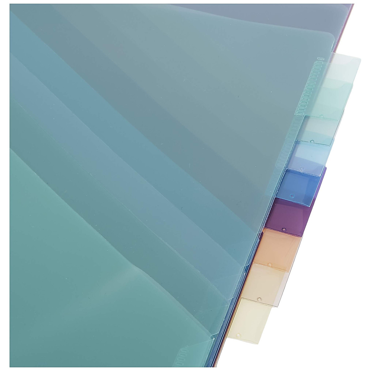 Amazon Basics Two Pocket Plastic Dividers, 8 Tab Set, Multicolor, Pack of 3 Sets
