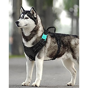 Joytale 2 Pack Airtag Dog Collar Holder, Elastic Silicone Air Tag Holder for Dogs and Cats, Light and Durable Apple Airtag Holder with Slide-On Loop(Black/Mint)