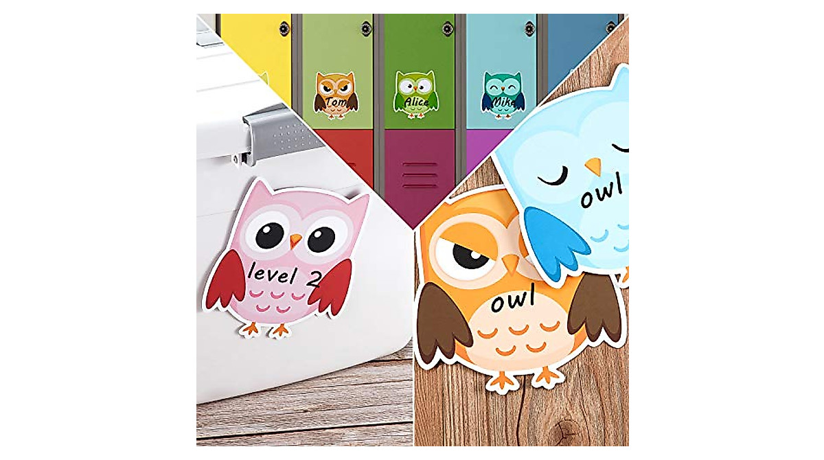 Colorful Owls Cutouts for Classroom & Party Decor