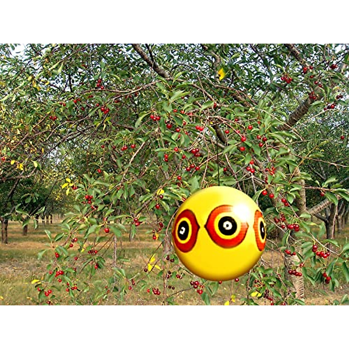 Bird-X Scare-Eye Bird Repellent Predator Eyes Balloon, Yellow