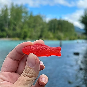 SWEDISH FISH Soft & Chewy Candy, 5 lb Bag