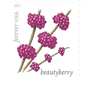 Winter Berries Book of 20 First Class US Postage Stamps Wedding Celebrate Engagement (20 Stamps)