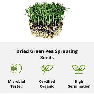 Certified Organic Dried Green Pea Sprouting Seed - 2.5 Lb - Handy Pantry Brand - Green Pea for Sprouts, Garden Planting, Cooking, Soup, Emergency Food Storage, Vegetable Gardening