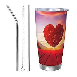 EKPRAVDKTF Heart Shaped Flower 20oz Insulated Stainless Steel Tumbler With Lids And Straws, Double Wall Vacuum Travel Coffee Mug, Thermal Cup For Cold & Hot Drinks, Reusable Metal Straw & Brush