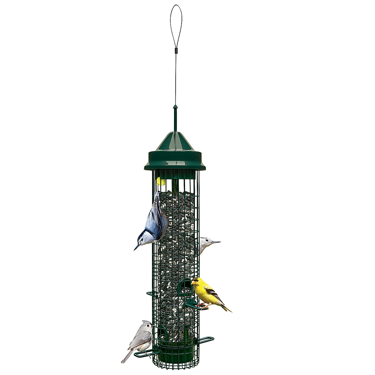 Squirrel Buster Classic Squirrel-proof Bird Feeder w/4 Feeding Ports, 2.4-pound Seed Capacity