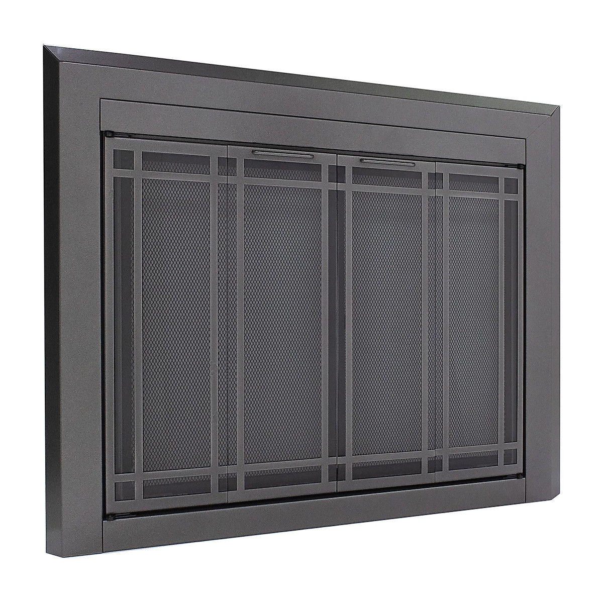 Pleasant Hearth Ellis Collection Fireplace Glass Door