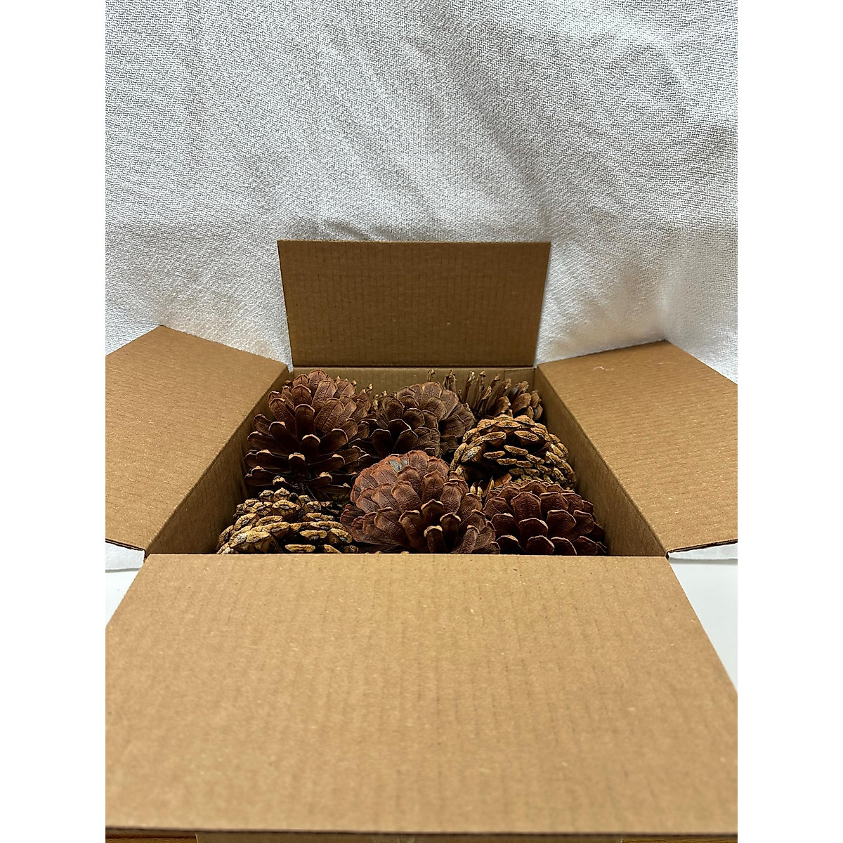 18-Pack Extra-Large (5 to 7 inch) Long Leaf Pine Cones for Decorating Home, Tables, Vase Fillers, Corporate Events, Crafts, Birdfeeders, Natural Pine Cone Holiday Ornaments. (unscented)