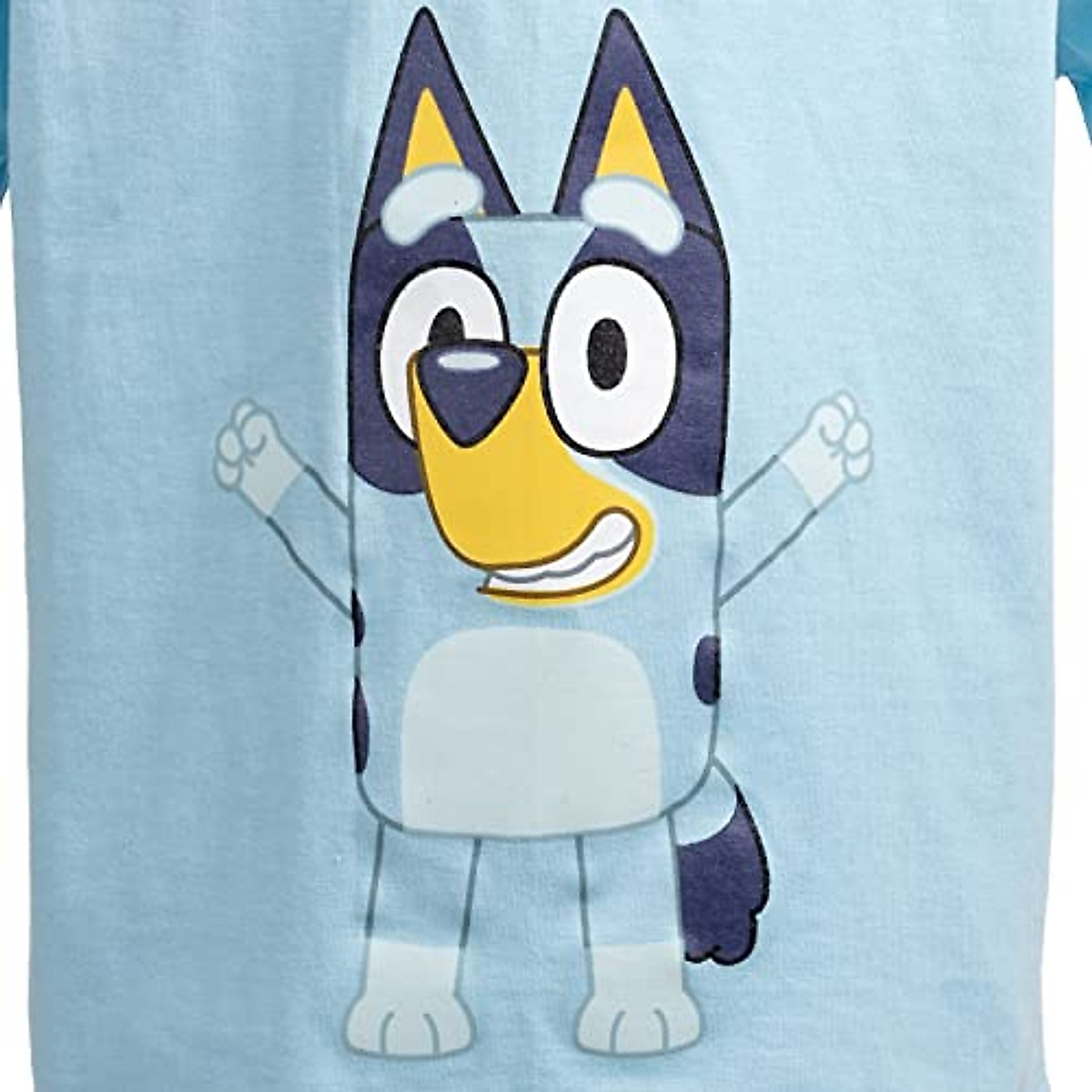 Bluey Little Boys Graphic T-Shirt 6