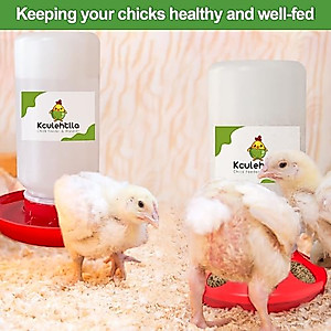 Baby Chicken Supplies, Chicken Brooder Box for Chick Starter Kit with Chick Perch Feeder and Waterer, 4-in-1 Bundles of Home Poultry Essential for Baby Chick, Duck and Quail