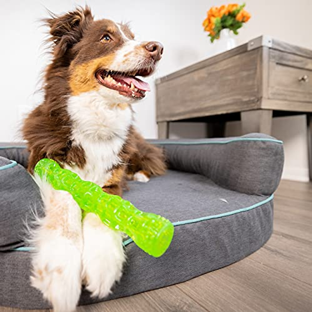 Hyper Pet Dura-Squeaks Stick Dog Toy, Large