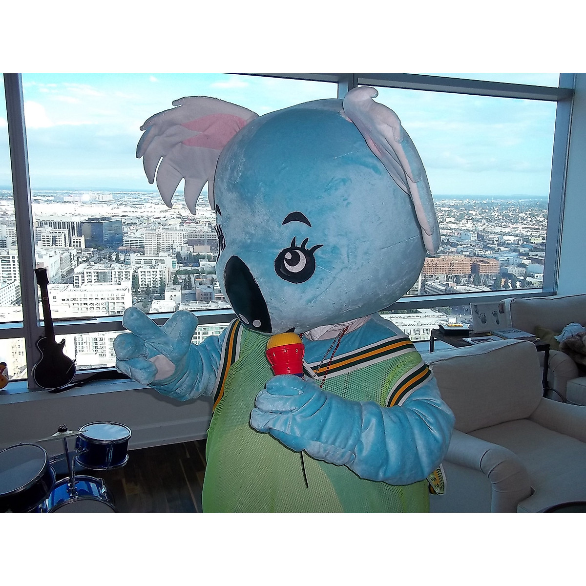 Big Koala Dream Room Party