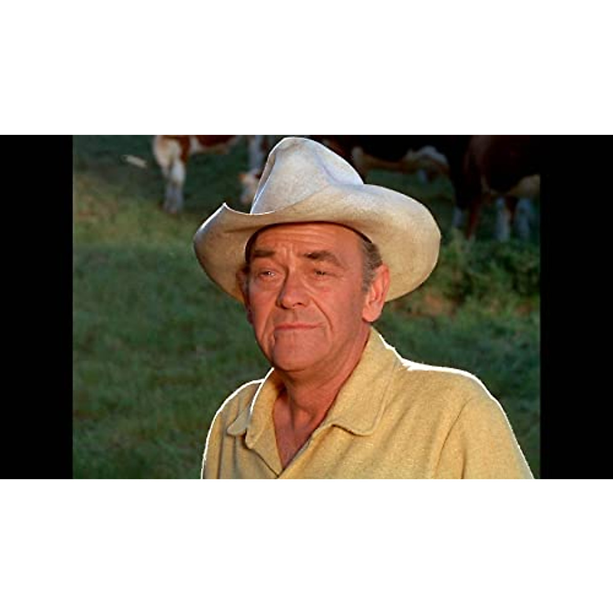 Die Leute von der Shiloh Ranch - Staffel 7 (HD-Remastered) (Fernsehjuwelen) (9 DVDs)