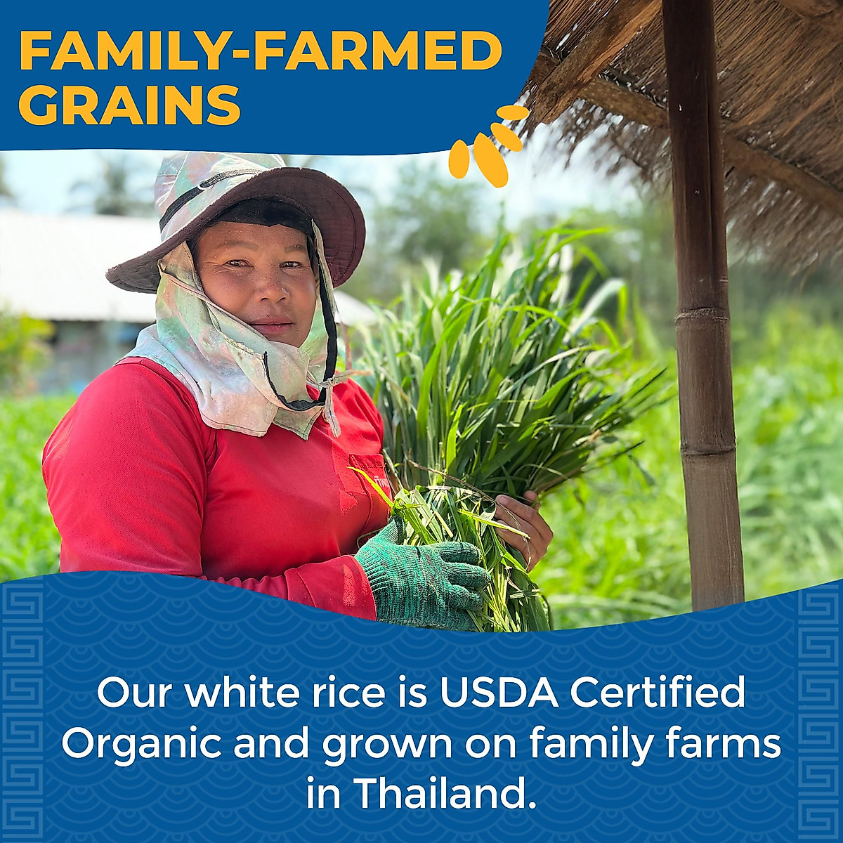 Lotus Foods Organic White Jasmine Rice - Jasmine Rice, Gluten Free White Rice, Organic Rice, Long Grain Asian Sticky Rice, USDA Organic, Vegan, Gluten Free - 30 Oz (Pack of 6)