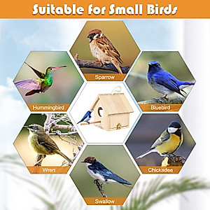 YUEPET Outdoor Bird Houses Transparent Wooden Bird House for Outside with Lanyard and Screws,Hanging Birdhouse Clearance for Finch Bluebird Cardinals Hummingbird
