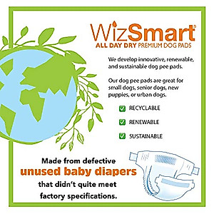 WizSmart Heavyweight Ultra Extra Large 10+ Cup Earth-Friendly & All-Day Dry Premium Dog and Puppy Potty Training Pads, Quick Drying, Absorbent, Odor-Free, Stay Put Tabs, 10+ Cup XL (24 Count)