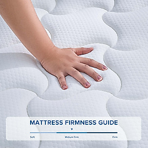 Queen Mattress, Medium Firm Feel, 12 Inch in a Box, Hybrid Memory Foam Pocketed Coil, Pillow Top Cotton Blend Cover, Pressure Relief Breathable, CertiPUR-US