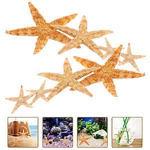 SEWACC 100pcs Ocean Beach Natural Seashells Sea Stars Nautical Fish Tank Aquarium Decor Table Scatter Vase Fillers for Christmas Tree Ornament Wedding