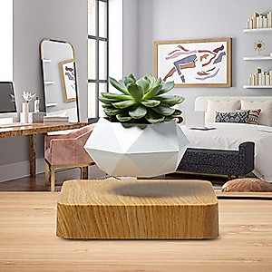 HOMEXXPRESS Levitating Plant- Floating Plant Pot - Magnetic Planter 360-Degree Rotation - Home Desk Office Kitchen Indoor Decor - Succulent Bonsai Air Plant - Maceta Flotante (Light Brown)