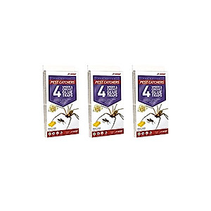 J T Eaton 844 Pest Catchers Large Spider and Cricket Size Attractant Scented Glue Trap, 12 Traps