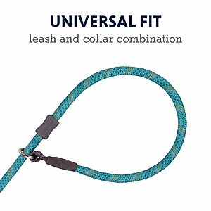 Ruffwear, Just-a-Cinch Dog Leash, 2-in-1 Lead Collar Combination, Aurora Teal