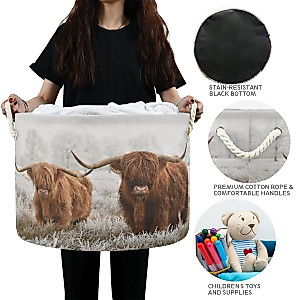 Scottish Highland Cow Cotton Rope Basket, XXX Large Collapsible Storage Basket for Toys, Pillows, Blankets in Living Room, Laundry Room, Bathroom, Home Decor