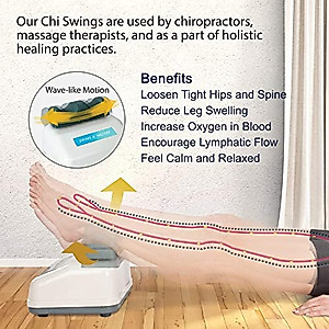 Daiwa Felicity Original Chi Swing Machine USJ-201 Passive Aerobic Exerciser Swing Master