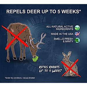 Grandpa Gus's Deer & Rabbit Repellent Spray with Extended Hose; Protects Garden & Yard, Sweet Smelling Formula with Natural Essential Oils, Weather-Resistant Stink-Free Long-Lasting Scent, 128 oz