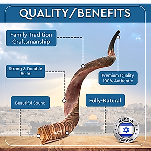 Shofar from Israel | KOSHER by Rabbinate of Jerusalem | Handcrafted | Holy Voice musical instruments | Kudu Shofar | 27-31 inch | Made In Israel By YOMTOV-SHALOM