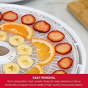 NESCO MS-2-6 Round Mesh 15 1/2" Clean-A-Screens, Fits Food Dehydrators, White